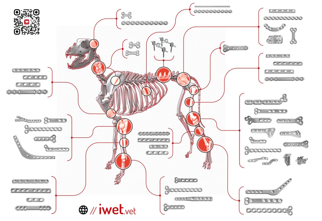 Home page | IWET - Surgical implants for animals | Veterinary tools